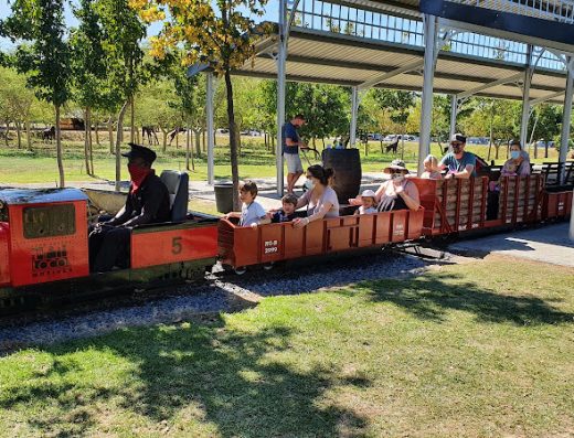 The Farmyard Park – Xperience Cape Town